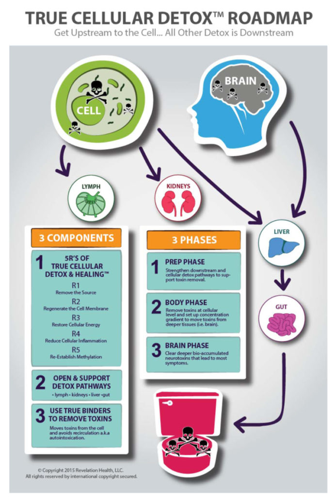 How Do We Overcome The Harmful Effects Of Living In A Toxic World? | My ...